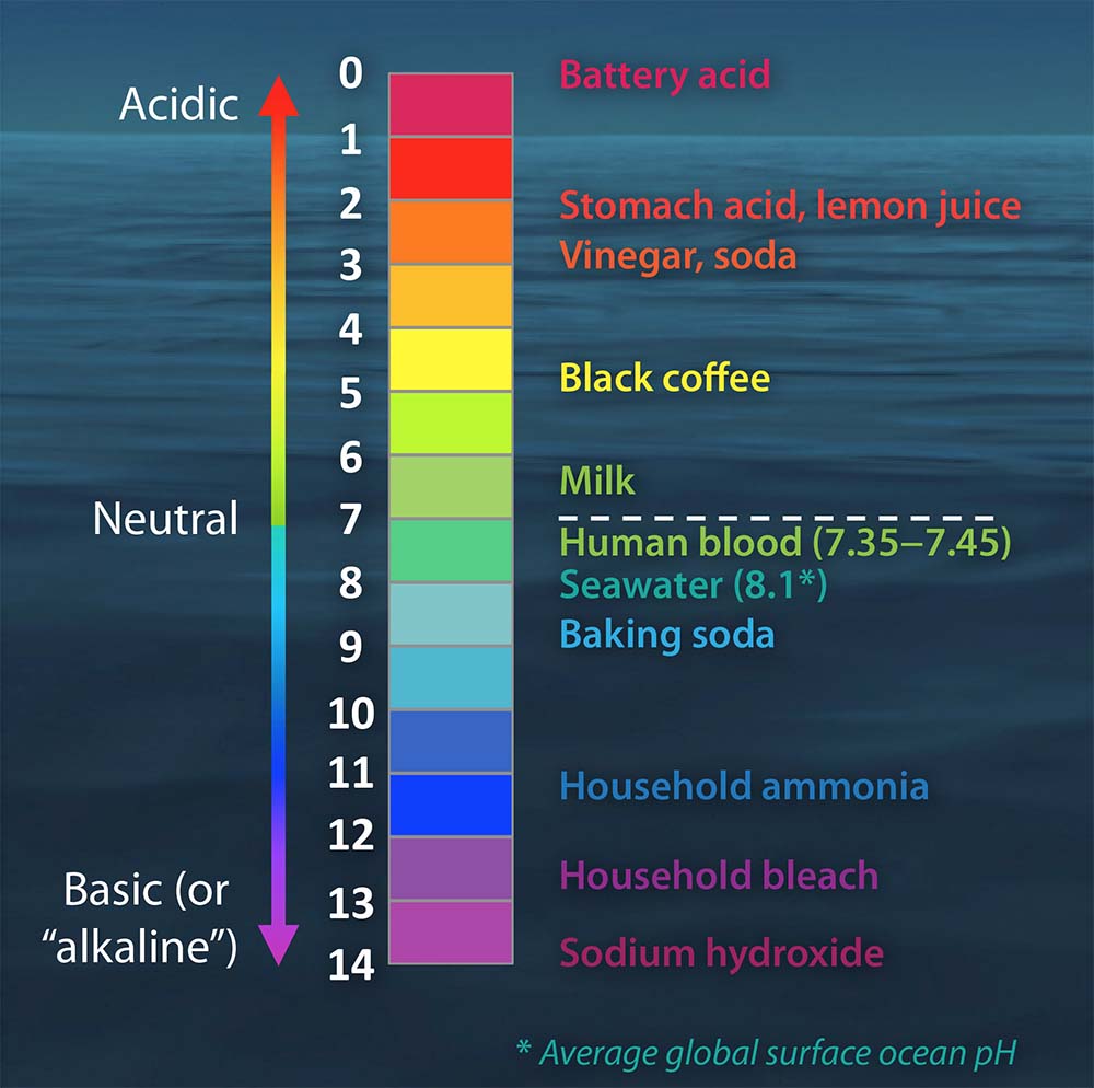 Is There Any Benefit in an Alkaline Diet? | Fooducate