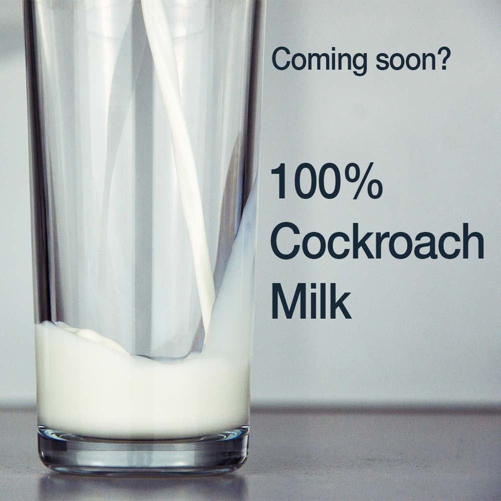 Cockroach Milk. (Yes the bug.) | News That Makes You Go WTF!?