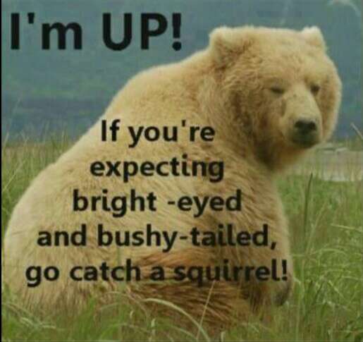 Good Morning, Have a Happy Lazy Bear Sunday !!!🐻🐻🐻 | Fooducate Diet ...