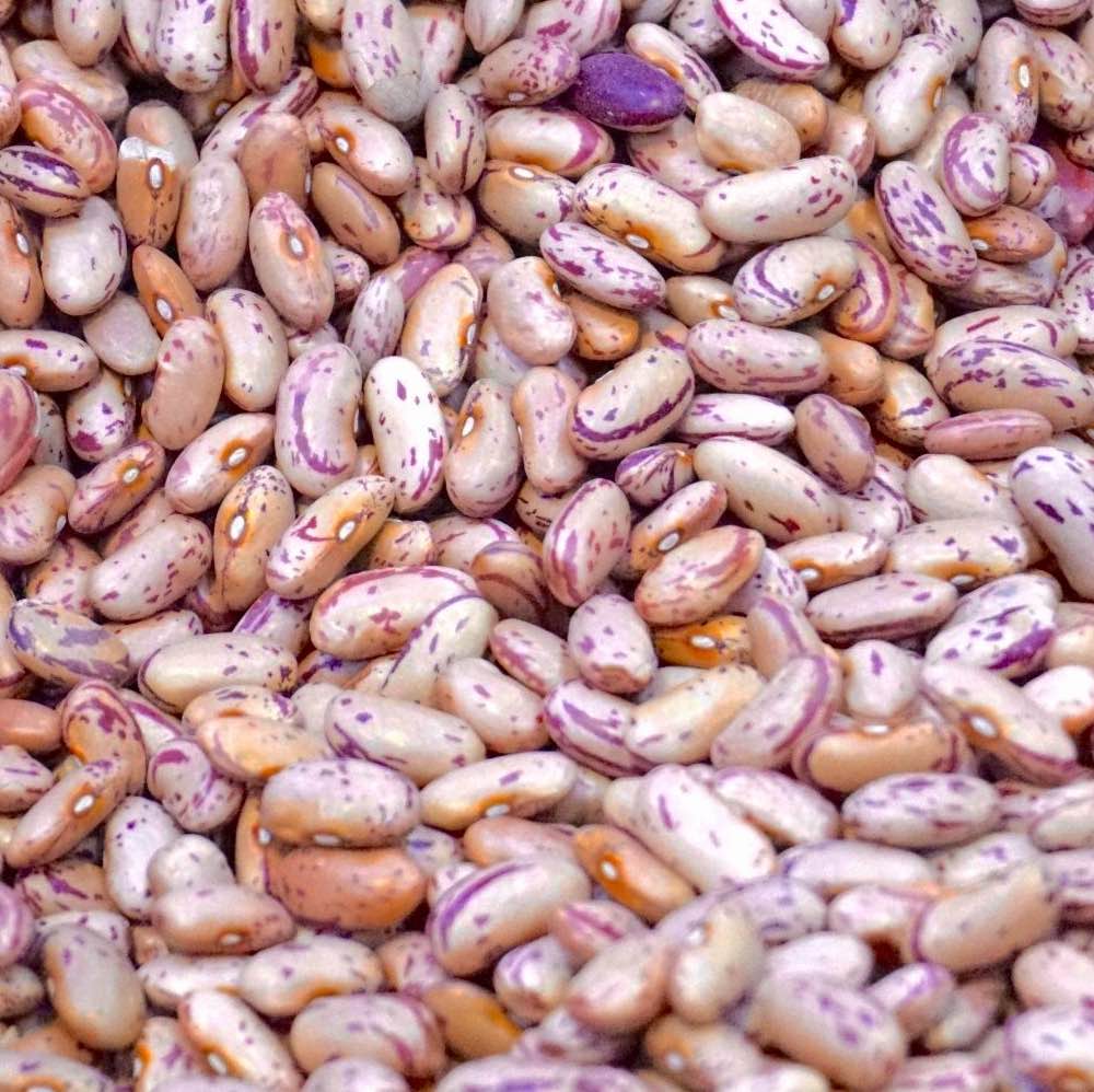 Lectins - Definition and Dangers | Fooducate