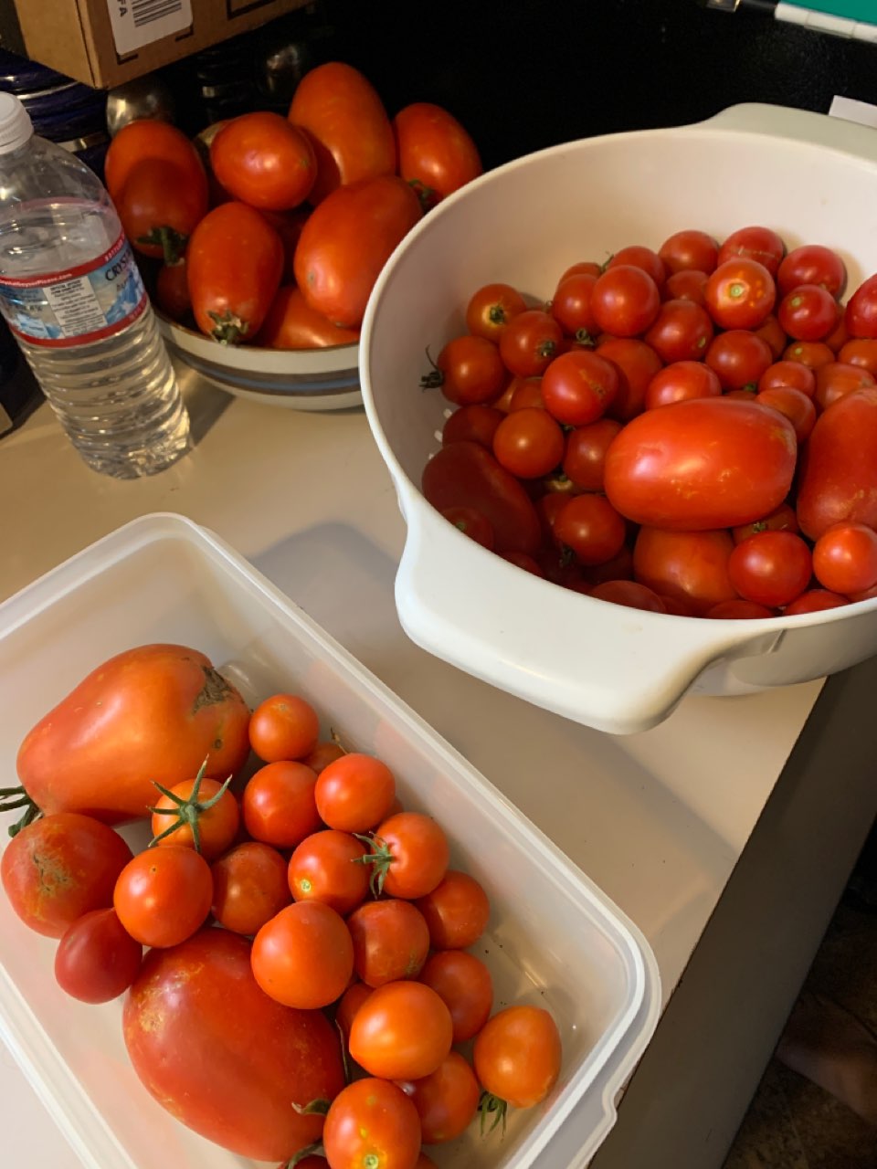 Two large bowls of tomatoes turns into only 2 quarts of sauce but it’s ...