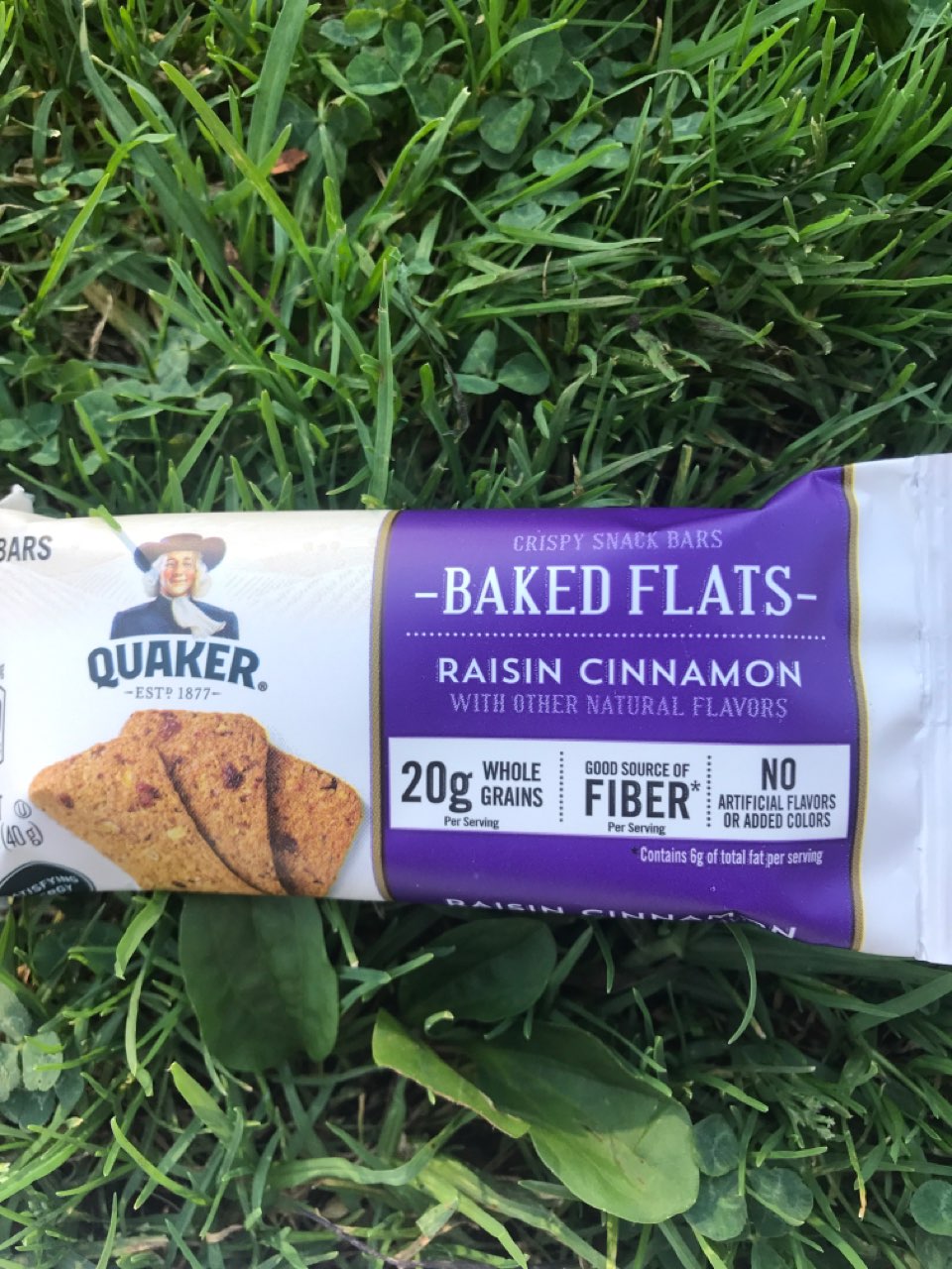 Quaker Breakfast Flats, Breakfast Bars, Golden Raisin Cinnamon Flavors ...