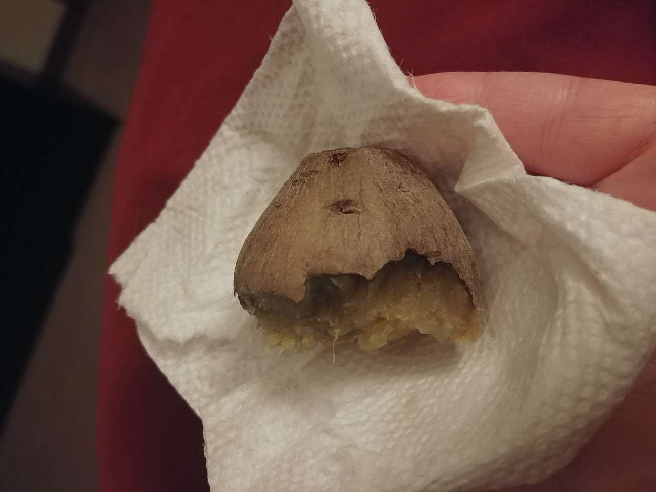 Ok so how many of you have had Hayman Sweet Potatoes?! I was just ...