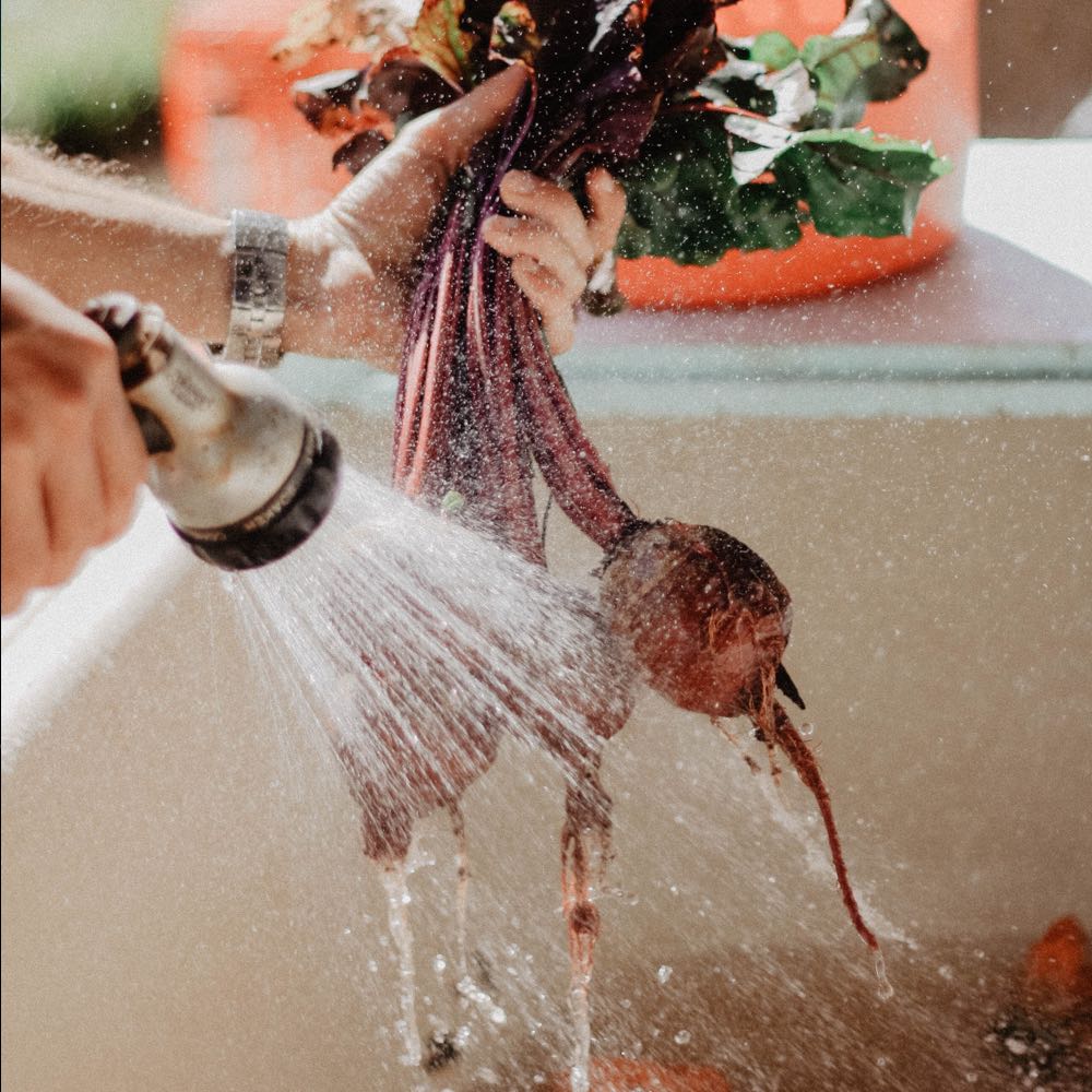 Get Your Hands Dirty Fooducate