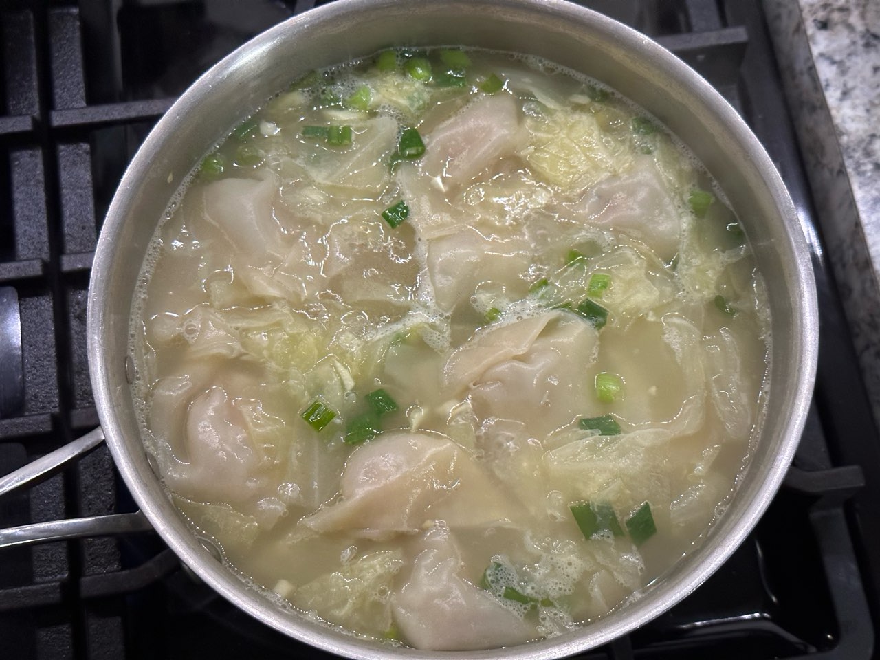 Homemade gyozas and gyoza filling patties. Air fried and pan fried. I ...