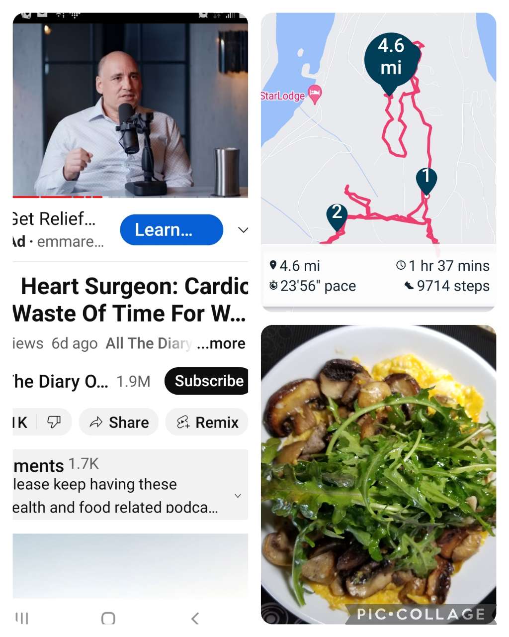 Long walk, long interview w/Dr. Philip Ovadia, author of "Stay Off My ...