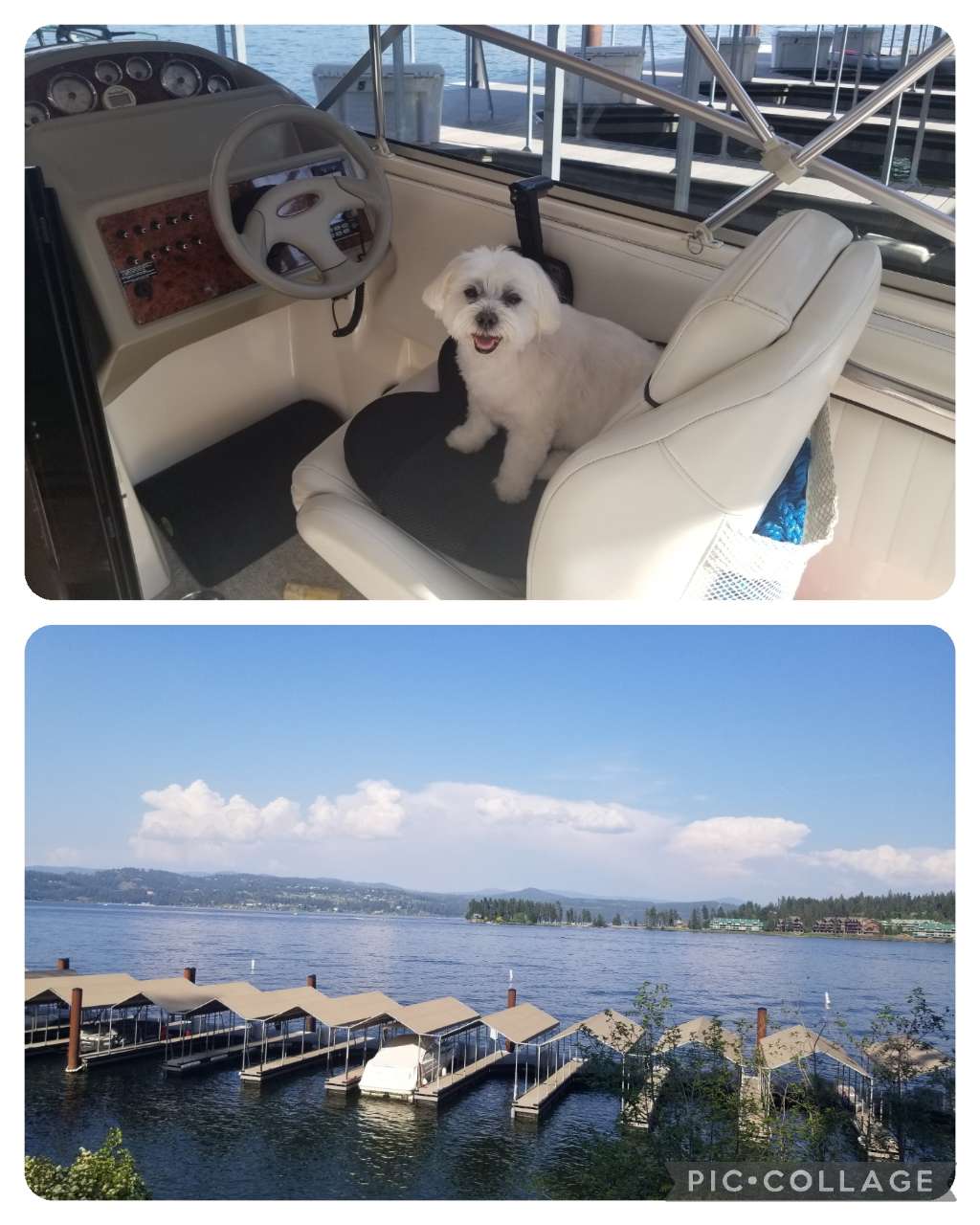 LuWee was a great little Captain of the ship today!!! Was a wonderful ...