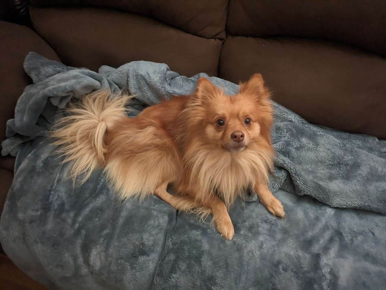 I'm on my weightless journey. just want to say don't give up, listen to ...