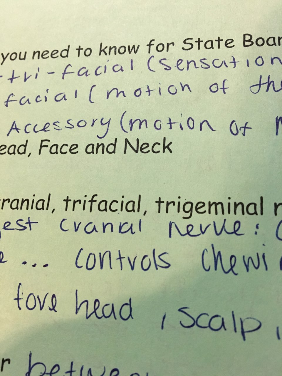 blt: Directions, calories, nutrition & more | Fooducate