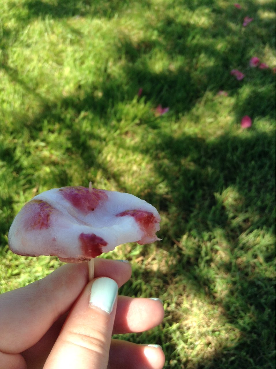 Berrylicious Mini Frozen Treats: Directions, calories, nutrition & more ...