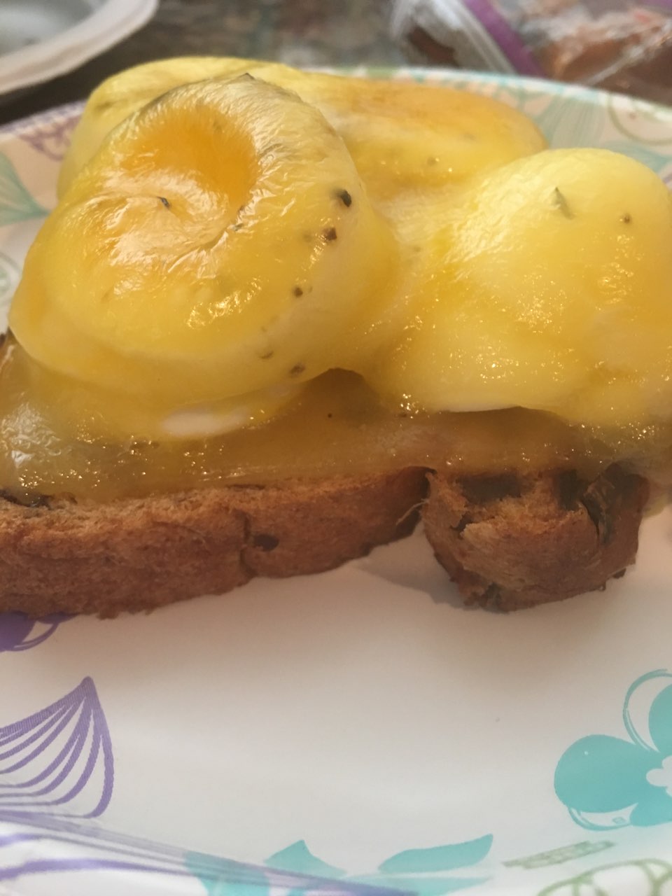 Volcano 🌋 Sandwich: Directions, calories, nutrition & more | Fooducate