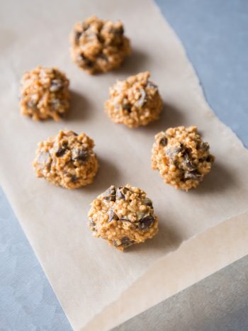 Protein Bites: Directions, calories, nutrition & more | Fooducate