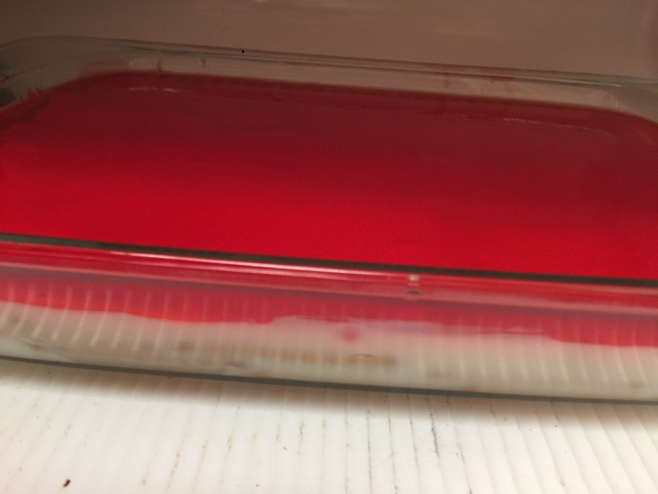 Jello Arab Style: Directions, calories, nutrition & more | Fooducate