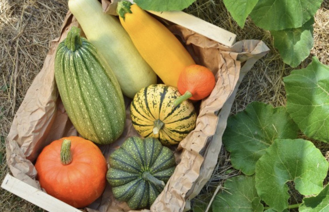 kale squash mix: Directions, calories, nutrition & more | Fooducate