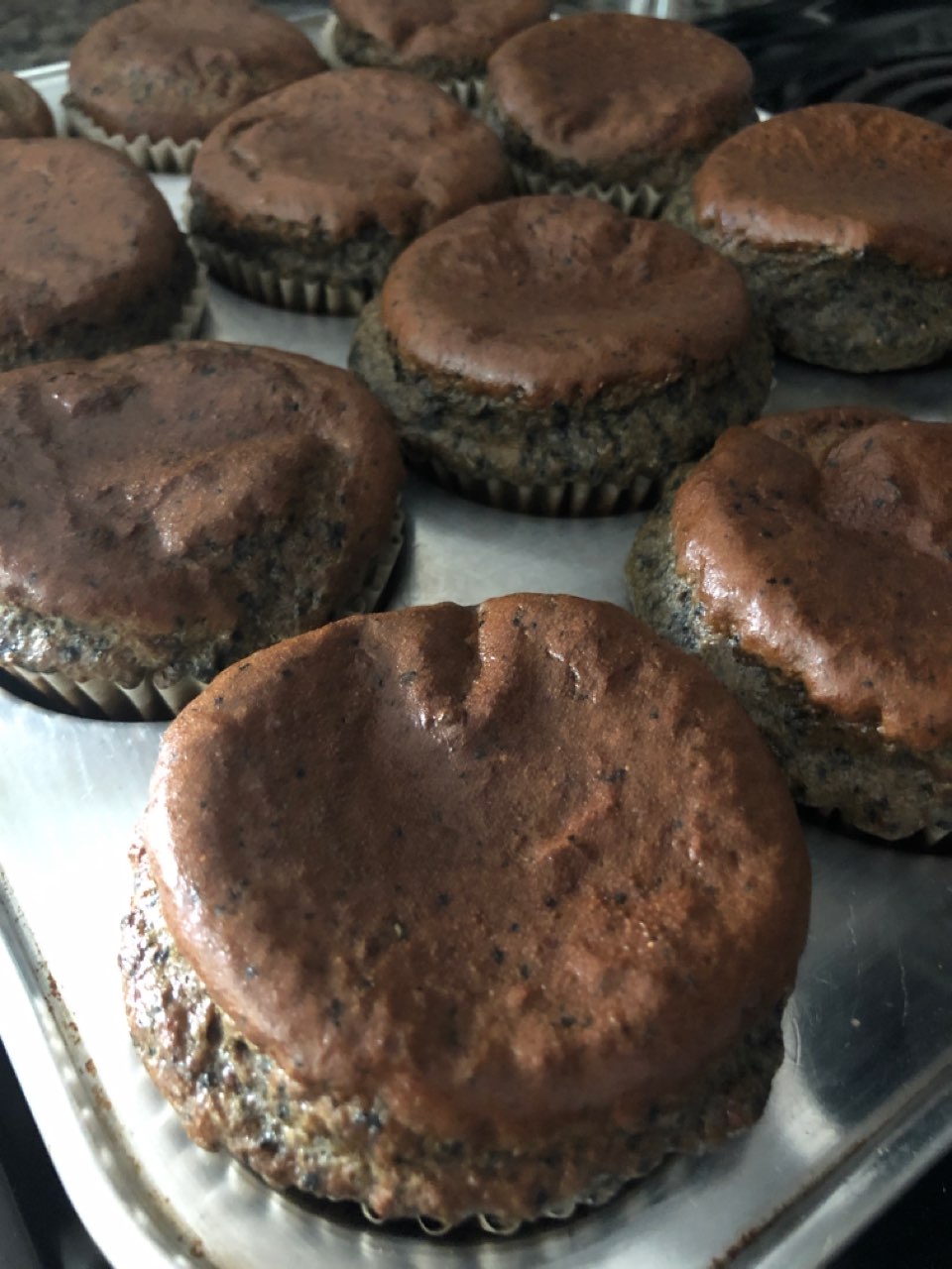 Sara Gottfried MD Plantain Protein Muffins: Directions, calories ...