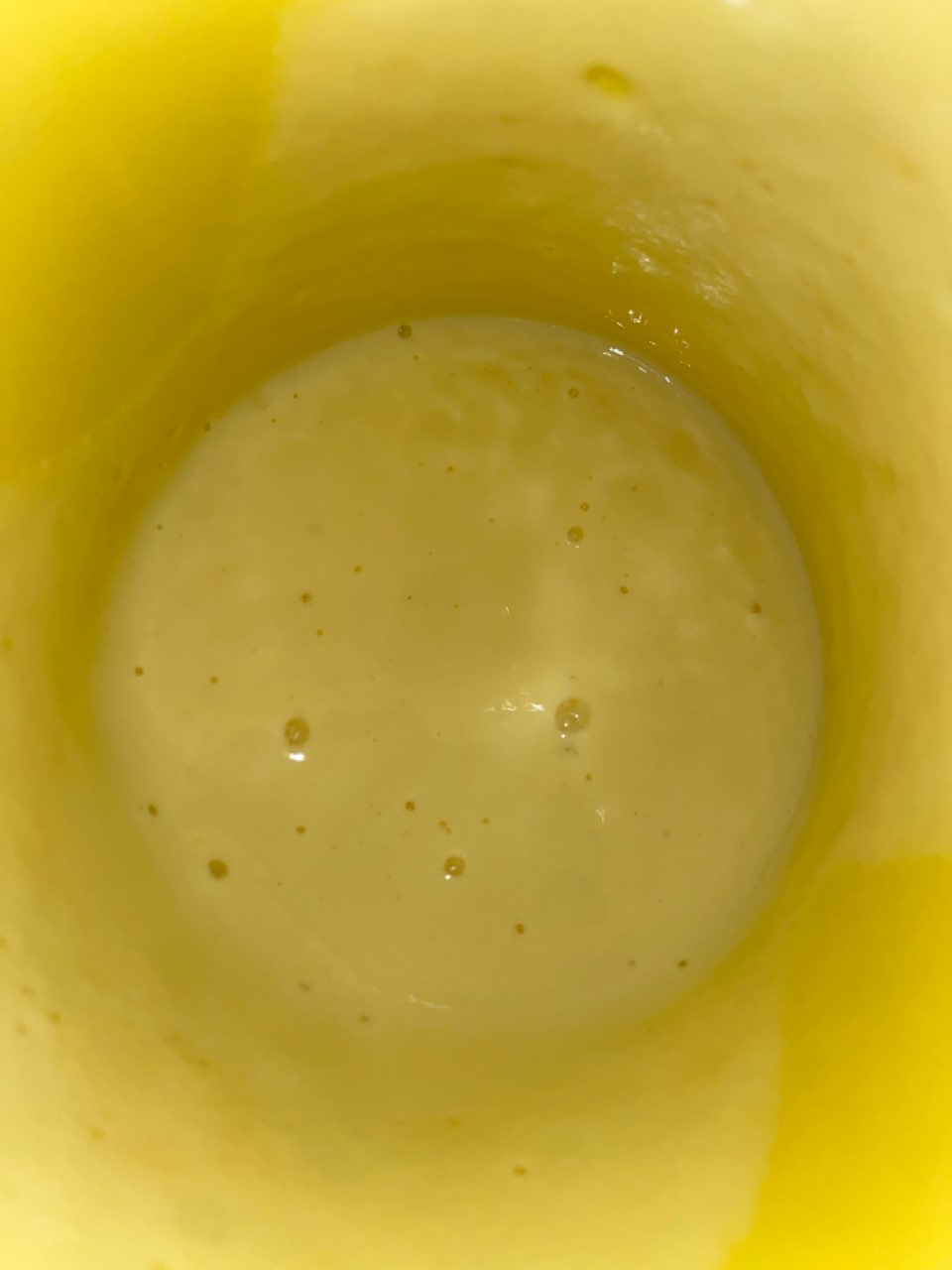 Mango Shake: Directions, calories, nutrition & more | Fooducate