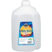 Lowes Foods Water,All Natural Spring: Calories, Nutrition Analysis ...