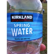 Kirkland Signature Spring Water: Calories, Nutrition Analysis & More ...