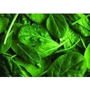 Organic, Spinach, Regular / Bunched: Calories, Nutrition Analysis ...
