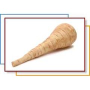 Organic, Parsnip: Calories, Nutrition Analysis & More | Fooducate