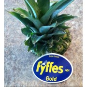 Fyffes Pineapple, Gold: Calories, Nutrition Analysis & More | Fooducate