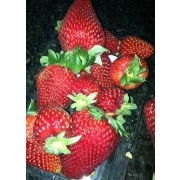 Premium Strawberries California Strawberries: Calories, Nutrition ...