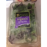 Wholesome Garden Organic Spring Mix: Calories, Nutrition Analysis ...