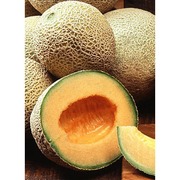 Melon, Hami: Calories, Nutrition Analysis & More | Fooducate