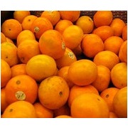 Tangerine / Mandarin, Nova, Includes: Clemenvilla, And, Suntina ...