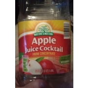 Nature's Nectar Apple Juice Cocktail: Calories, Nutrition Analysis ...