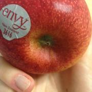 User added: Envy, Envy Apple: Calories, Nutrition Analysis & More ...