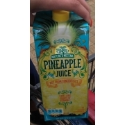 Nature's Nectar Pineapple Juice: Calories, Nutrition Analysis & More ...