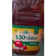 Nature's Nectar 100% Juice, Apple: Calories, Nutrition Analysis & More ...