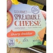Aldi Gourmet Spreadable Cheese, Sharp Cheddar: Calories, Nutrition ...