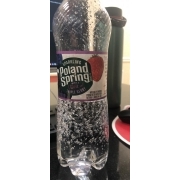 Poland Spring Sparkling Spring Water, Triple Berry: Calories, Nutrition ...
