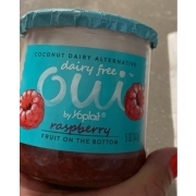 Oui Yogurt, Coconut Dairy Alternative, Raspberry: Calories, Nutrition ...