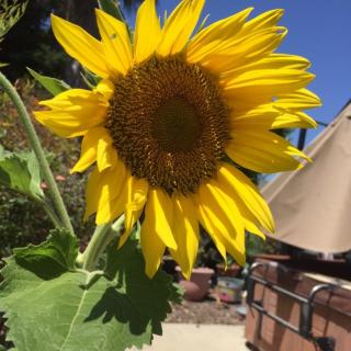 Ozery Bakery Organic Morning Rounds, Muesli, Sweet Cranberries ...
