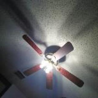 Jennifer's Garden Traditional Vegetable Spring Rolls: Calories ...