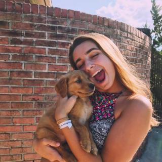 Lilly B's Organic Bean, Rice And Cheese Burritos: Calories, Nutrition ...